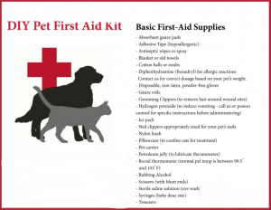 3 Important First Aid Tips for Pet Owners - Passionately Pets