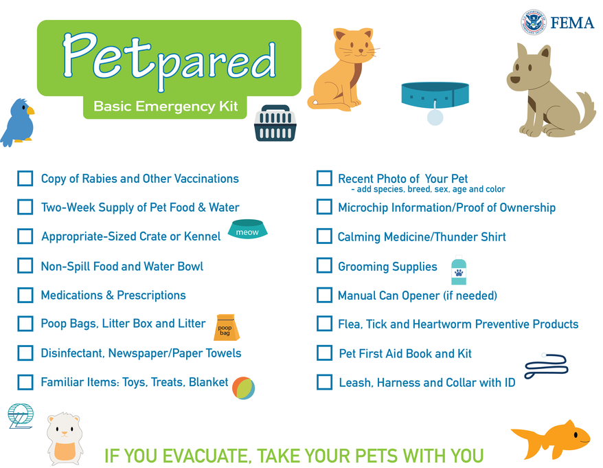 How To Keep Your Pet Safe This Winter | Alexandria, Arlington VA