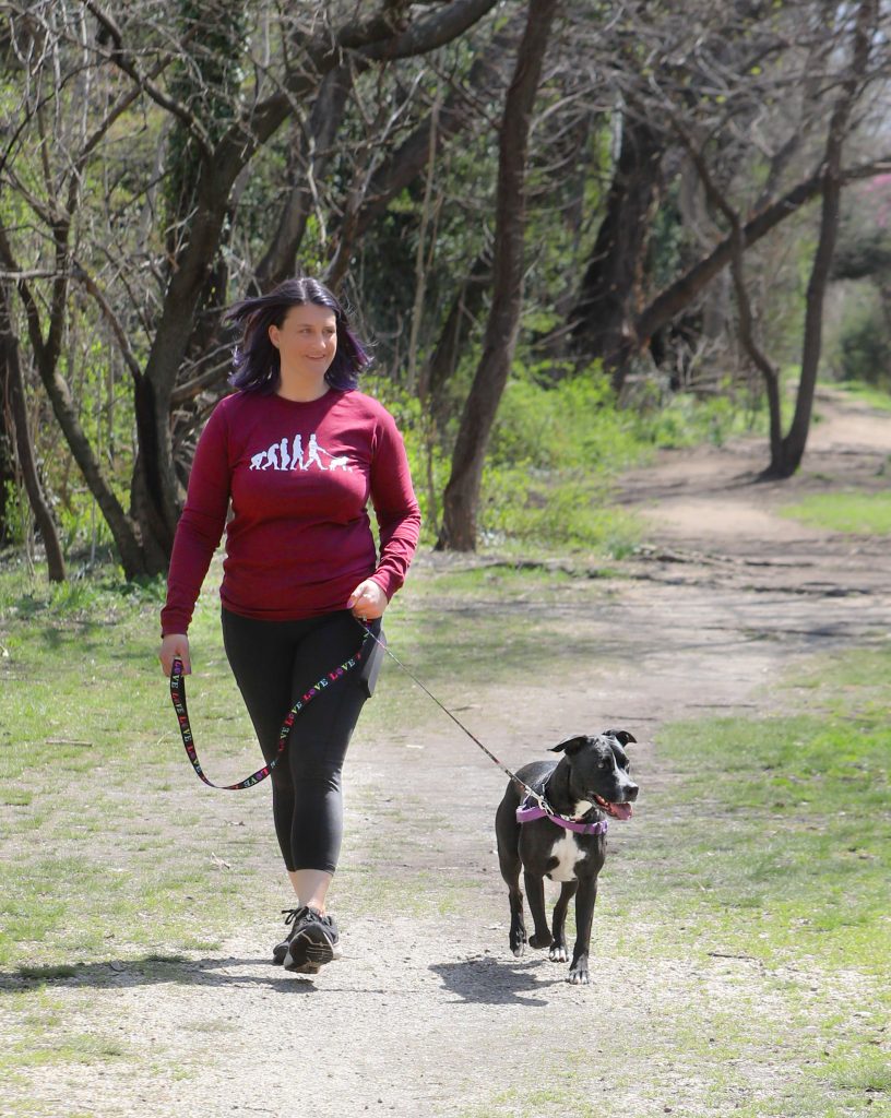 5 Summertime Dog Walking Tips To Keep In Mind - Passionately Pets