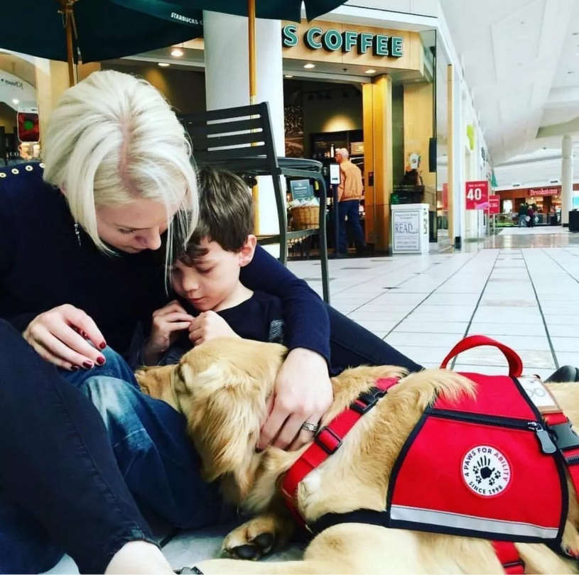 Celebrating Working and Service Dogs This Labor Day - Passionately Pets