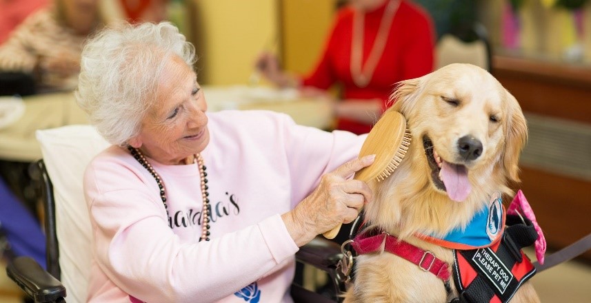 Celebrating Working and Service Dogs This Labor Day - Passionately Pets