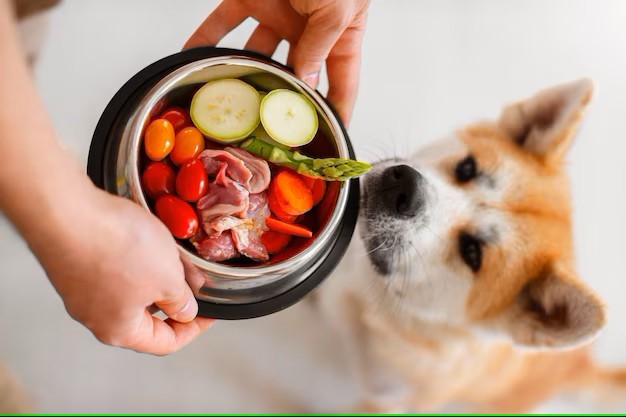 March Dog Care Checklist: Preparing Your Pup for Spring - Passionately Pets