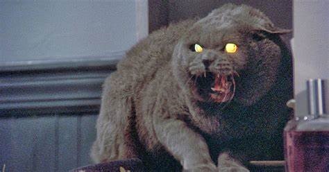 Famous Cats in History and Pop Culture: The Pawsitive Impact of Feline ...