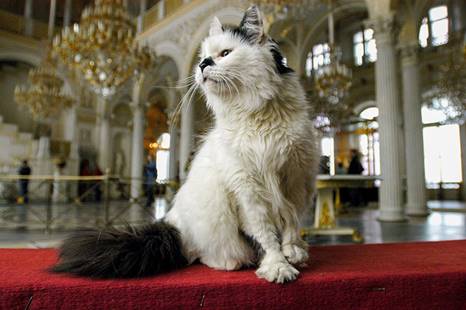 Famous Pet Ghost Stories: Spooky Tails from Beyond - Passionately Pets